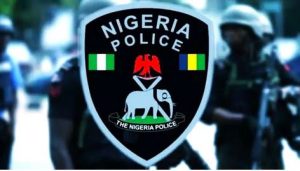 Nigerian Police Ranks, Salaries, Symbols & How To Join NPF